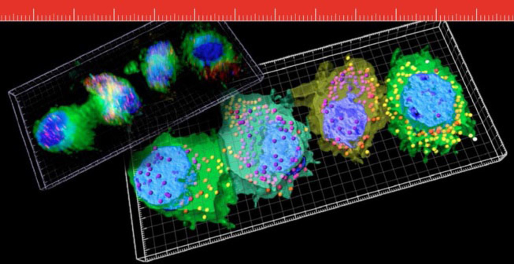 Workshop offers researchers preview of 3D, 4D interactive visualization ...