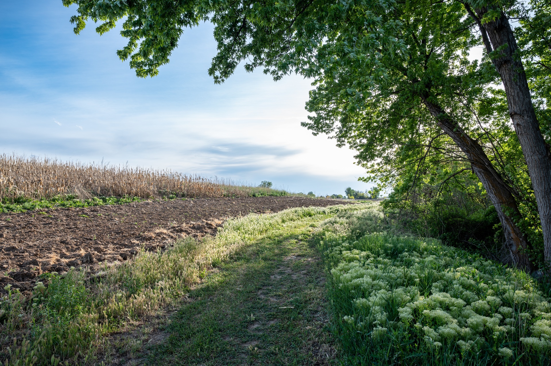 Interdisciplinary team secures $500K to address climate, environment ...